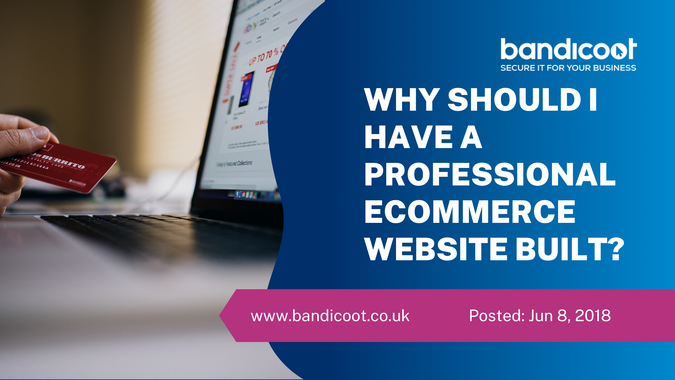 Why Should I Have A Professional Ecommerce Website Built?