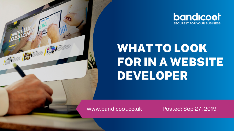 What to Look For in A Website Developer